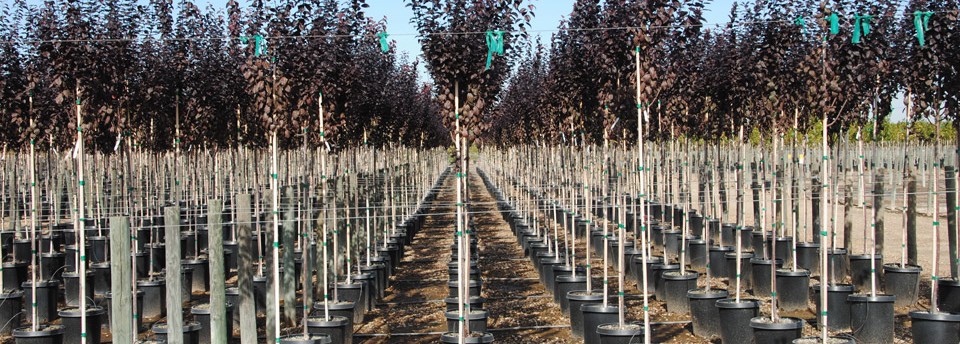 Primerus Products, LLC